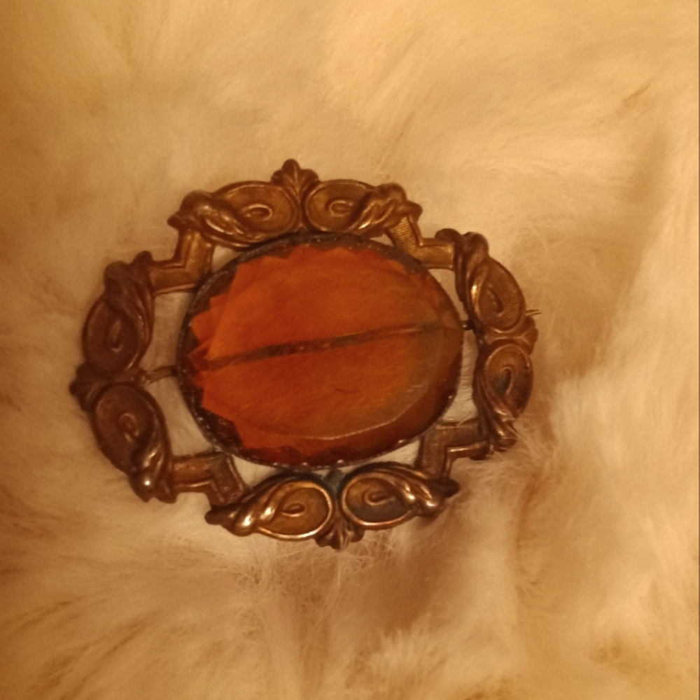 Antique C Clasp Brooch - Gem
